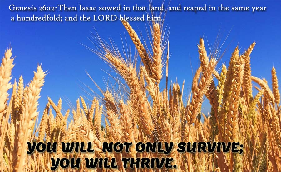 WE WILL NOT ONLY SURVIVE; WE WILL THRIVE! – Pastoral Care Center
