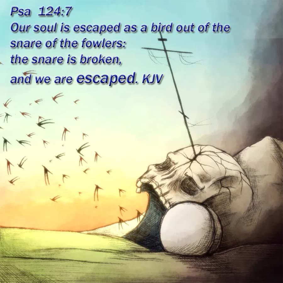 THE SNARE IS BROKEN. – Pastoral Care Center